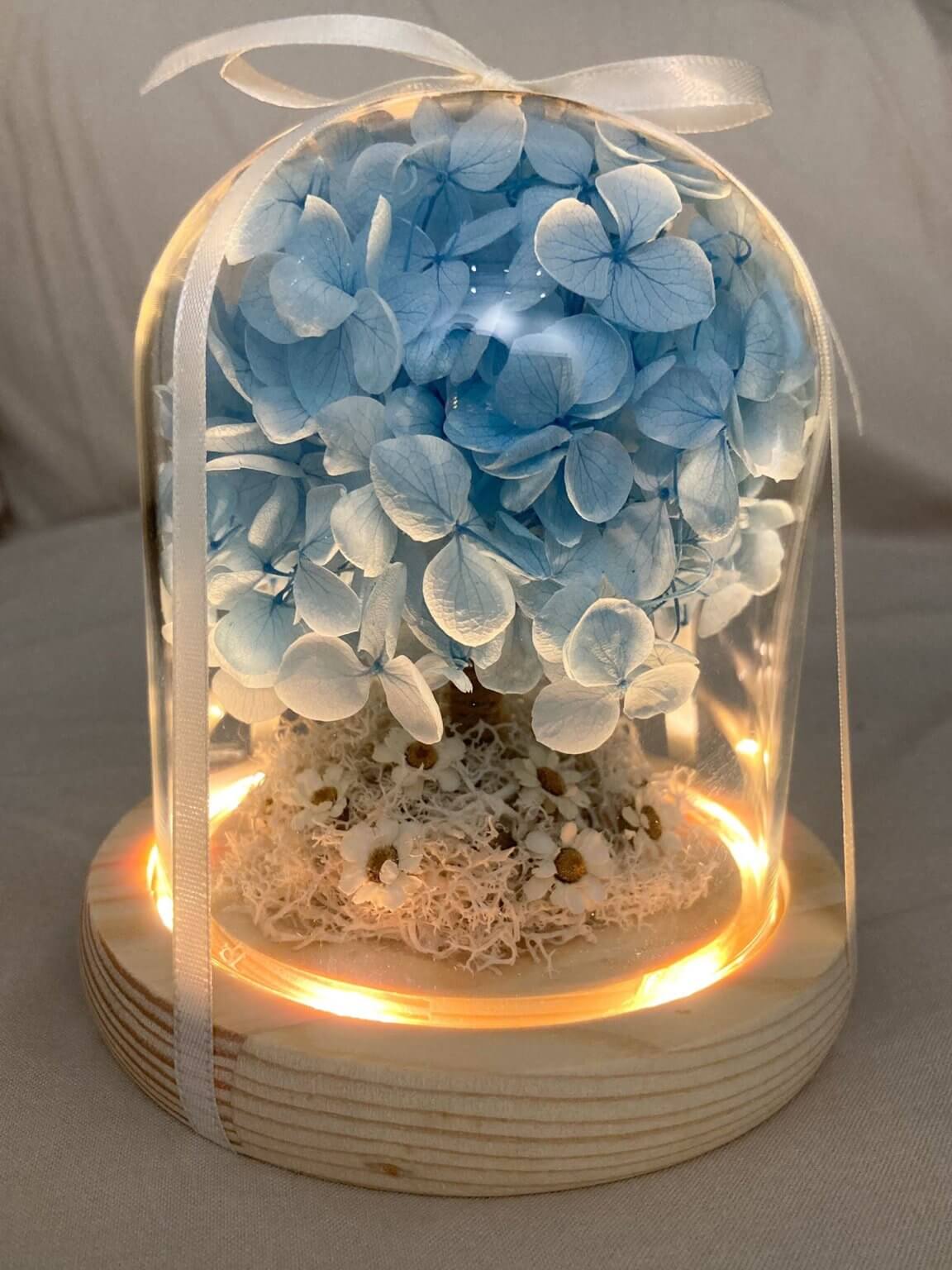 Preserved Hydrangea Flower in Glass Dome