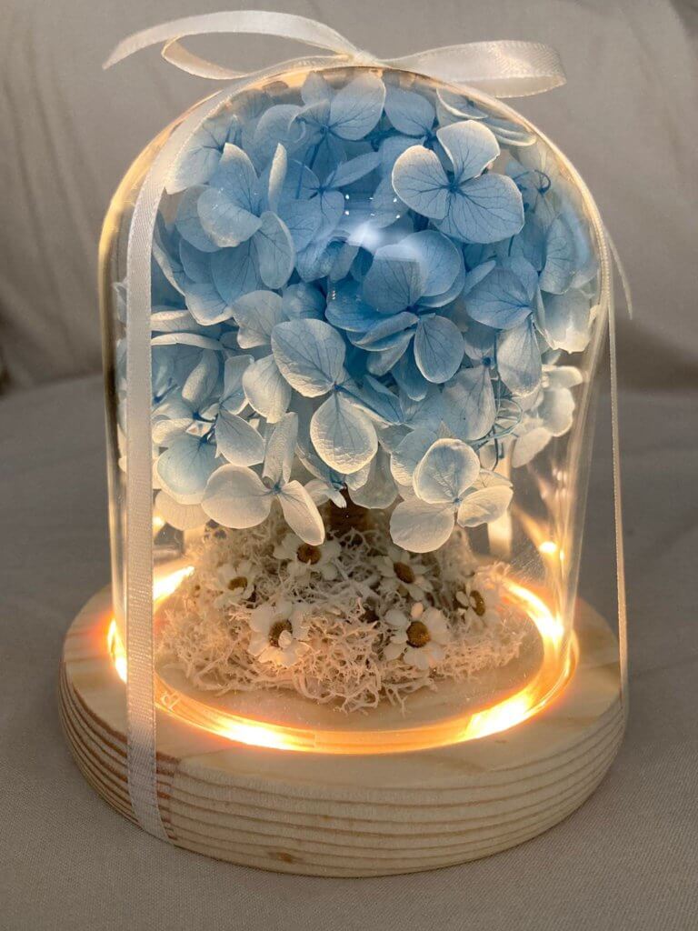 Preserved Hydrangea Flower in Glass Dome